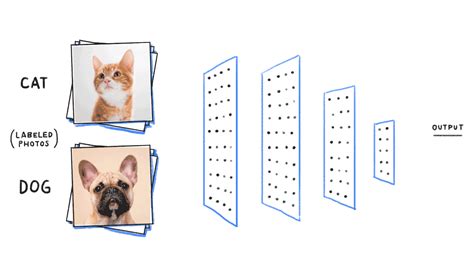 Transfer Learning Cat And Dog Classifier