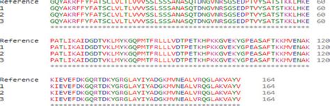 A Protein Structure Exonic Region Of S Aureus B Alignment Of S Download Scientific