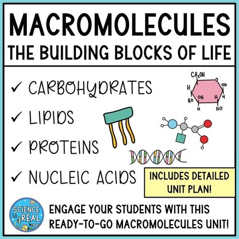 Macromolecules Stations Science Is Real Education