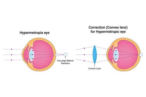 Bone Cells Science Design Vector Graphic By Hamjaiu · Creative Fabrica