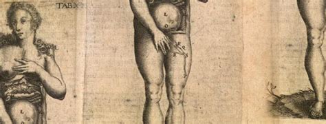 Do Women Really Have A G Spot Intimate Arts Center