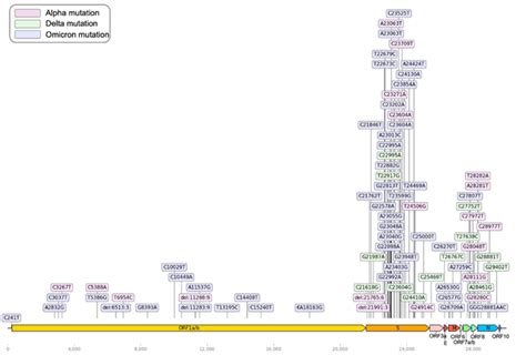Algorithm For Selecting Potential Sars Cov 2 Dominant Variants Based On