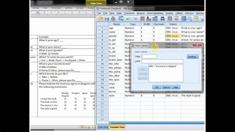 Spss Data Entry Part 2 Youtube