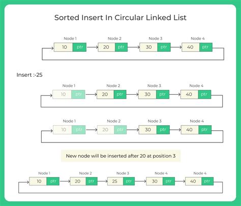 Sorted Insert For Circular Linked List Prepinsta