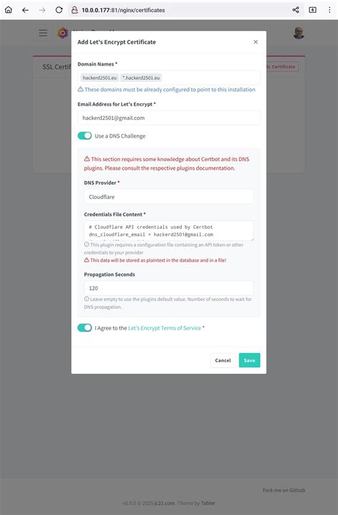 Nginx Proxy Manager Letsecrypt Dns Challenge With Cloudflare Internal