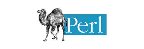Pearl Programming Language What It Is And What It Is Used For NEATsoft