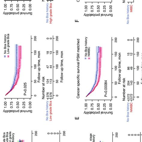 Subgroup Analysis Comparing Prognosis For Utuc Bca Cohort And Utuc Only Download Scientific
