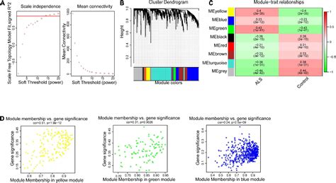 A Conjoint Analysis Of Bulk Rna Seq And Single Nucleus Rna Seq For