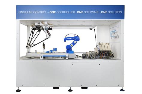 Singular Control Solution Boasts New Functions