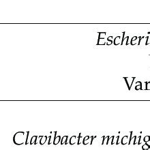 Application Of Loop Mediated Isothermal Amplification In The Detection Download Scientific