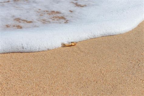 Premium Photo Abstract Beach Sand And Soft Background Of Waves And Seashell