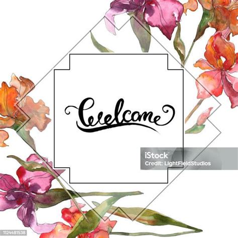 빨간색과 보라색 꽃 식물 꽃입니다 수채화 배경 그림 설정 합니다 프레임 테두리 장식 스퀘어입니다 그리기에 대한 스톡 벡터 아트