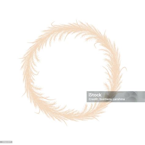 마른 팜파스 잔디가있는 원형 프레임 보호 스타일의 베이지 색 코르타데리아 화환 흰색 배경에 고립 된 벡터 말린 꽃 초대장 엽서 소셜 미디어를위한 트렌디 한 요소 디자인 풀