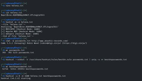 Password Cracking 13 Challenge Exercise Content Discussion Cybrary