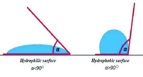 Contact Angle On Hydrophilic And Hydrophobic Surface Download