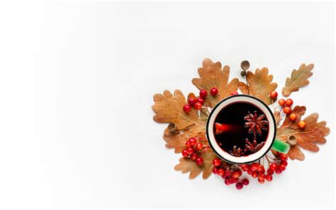 뜨거운 맛의 멀드 와인 붉은 잘 익은 딸기와 마른 가을 참나무 잎머그 멀드 와인에 대한 스톡 사진 및 기타 이미지 멀드 와인 바로 위 0명 Istock