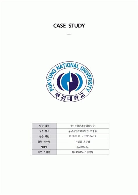 케이스 양식