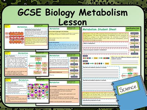 Aqa Ks4 Gcse Biology Science Metabolism Lesson Teaching Resources