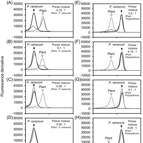 Sensitivity Of The Multiplex Lamp Assay Using The Plant Primer Set And