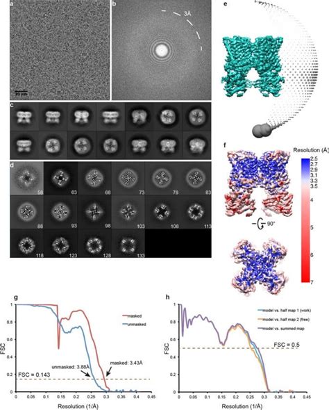 Mempro™ Nanodisc Analysis Creative Biostructure