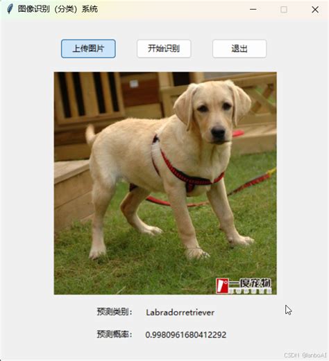 基于卷积神经网络的狗狗品种分类、识别系统，resnet50，mobilenet模型【pytorch框架python】基于深层卷积网络的狗
