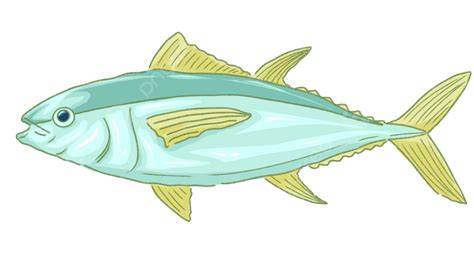 투명 생선 참치 그림 참치 만화 생선 Png 일러스트 및 Psd 이미지 무료 다운로드 Pngtree