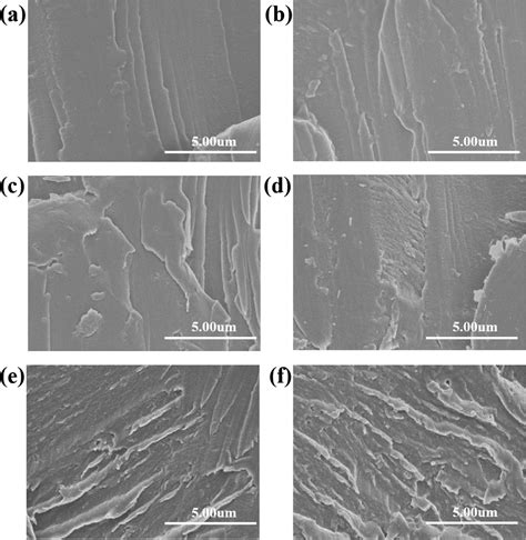 Enhanced Proton Transport Properties Of Sulfonated Polyarylene Ether Nitrile Spen With