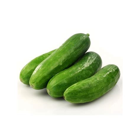 بذر خیار بوته ای 111 Cucumber Grilled Sandwich Grilling