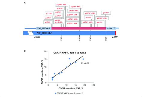 Distribution Of Acquired Mutations In Exon 17 Of Csf3r In Cn And