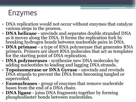 Presentation On Dna Replication Powerpoint Slides Learnpick India