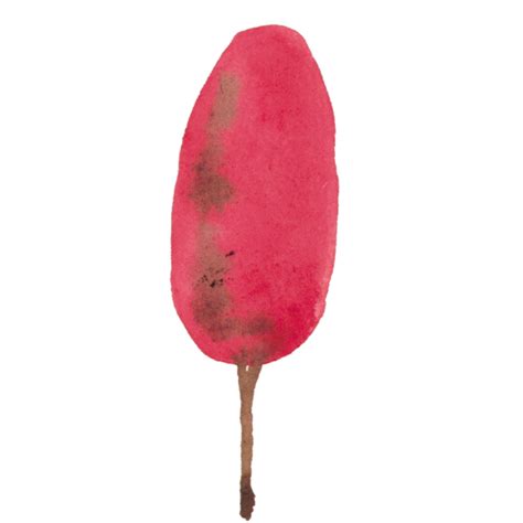 Trees Change Color In Autumn Season 28714093 PNG