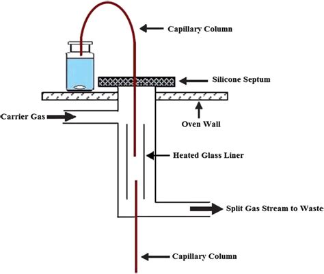 Schematic Representation Of Direct Transfer Of The Headspace Vapor Into Download Scientific
