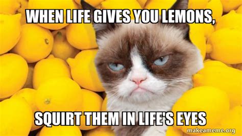 When Life Gives You Lemons Squirt Them In Lifes Eyes Meme Generator