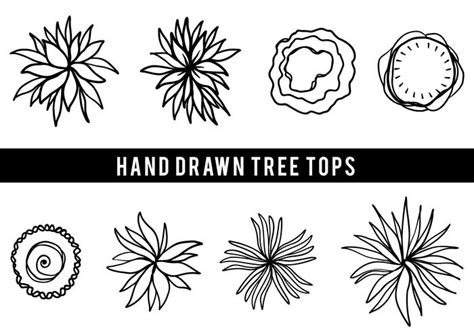 Free Hand Drawn Tree Tops Vector 130593 Vector Art At Vecteezy