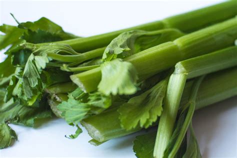 13 Types Of Celery To Grow At Home With Pictures House Grail