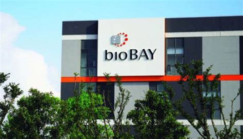 Services Levena Biopharma