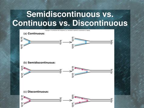 Ppt Dna Replication Ch 20 And 21 Powerpoint Presentation Free Download Id 1227818