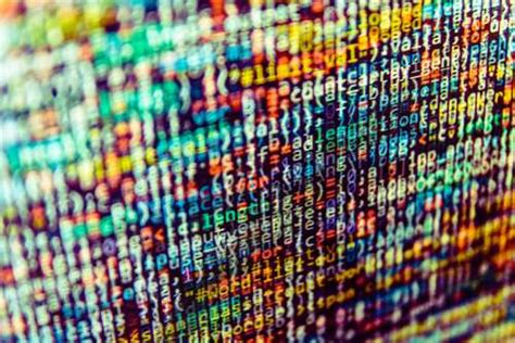 Study Suggests A Lack Of Assessments For Coding Teachers