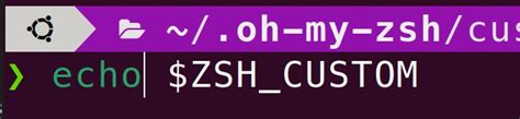 Prompt Color Changing Before Completing Issue Zsh Users Zsh Syntax Highlighting GitHub