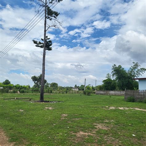 ດີນແບ່ງຂາຍລາຄາຖືກ Added A New Photo ດີນແບ່ງຂາຍລາຄາຖືກ