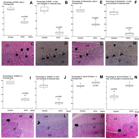 Figure A And B Demonstrate Box Plot Diagram Revealing The Median Download Scientific Diagram