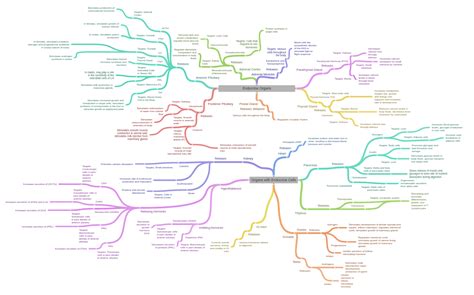 Endocrine Organs Organs With Endocrine Cells Coggle Diagram