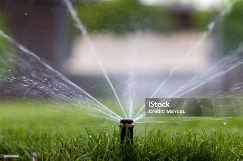 푸른 잔디의 배경에 잔디밭을 급수 하는 자동 스프링 클 러 시스템 농업용 스프링클러에 대한 스톡 사진 및 기타 이미지 농업용 스프링클러 머리 스프링클러 Istock