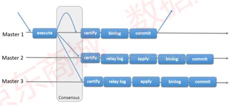 Mysql Group Replication 简介及单主模式组复制配置 Csdn博客