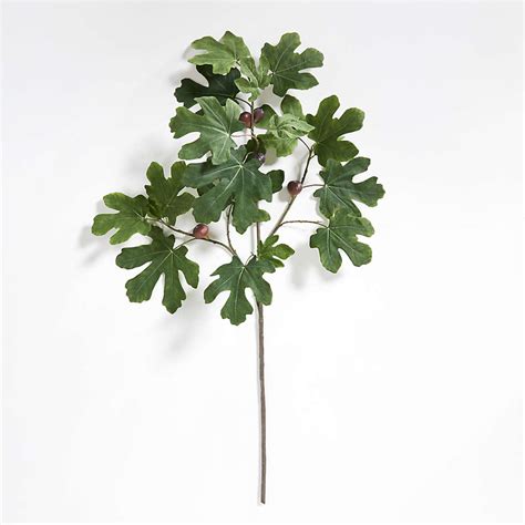 Faux Fig Leaf Stem 60 Reviews Crate And Barrel