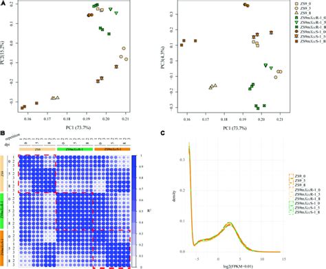 quality evaluation of rna seq data a pca displaying the major