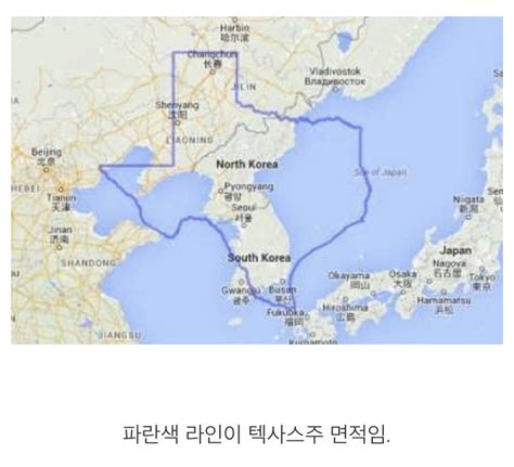 텍사스 주 크기  Mlbpark