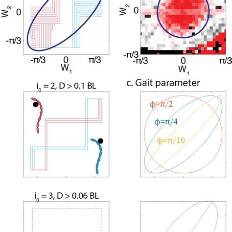 Identification Of Gait Templates A Collection Of Effective Oal Gaits Download Scientific