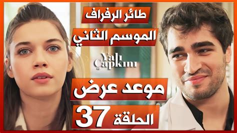 مسلسل طائر الرفراف الحلقة 37 الموسم الثاني موعد العرض الرسمي
