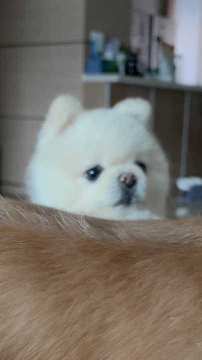 화가 머리끝까지 난 이유 Youtube